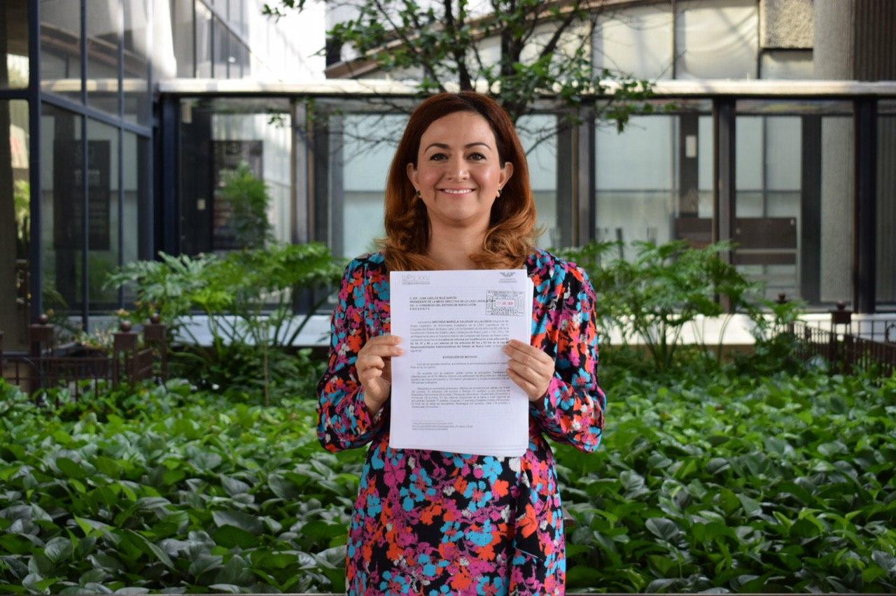 Portal Glpmc Denuncia Mariela Omisión Legislativa Presenta